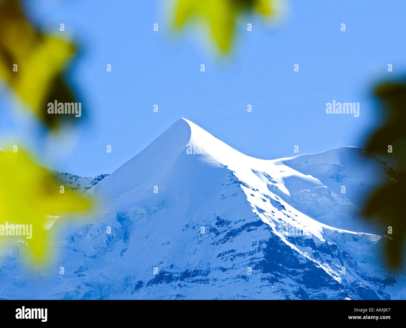 Switzerland berner Oberland View Of Silberhorn from Wengen Stock Photo ...