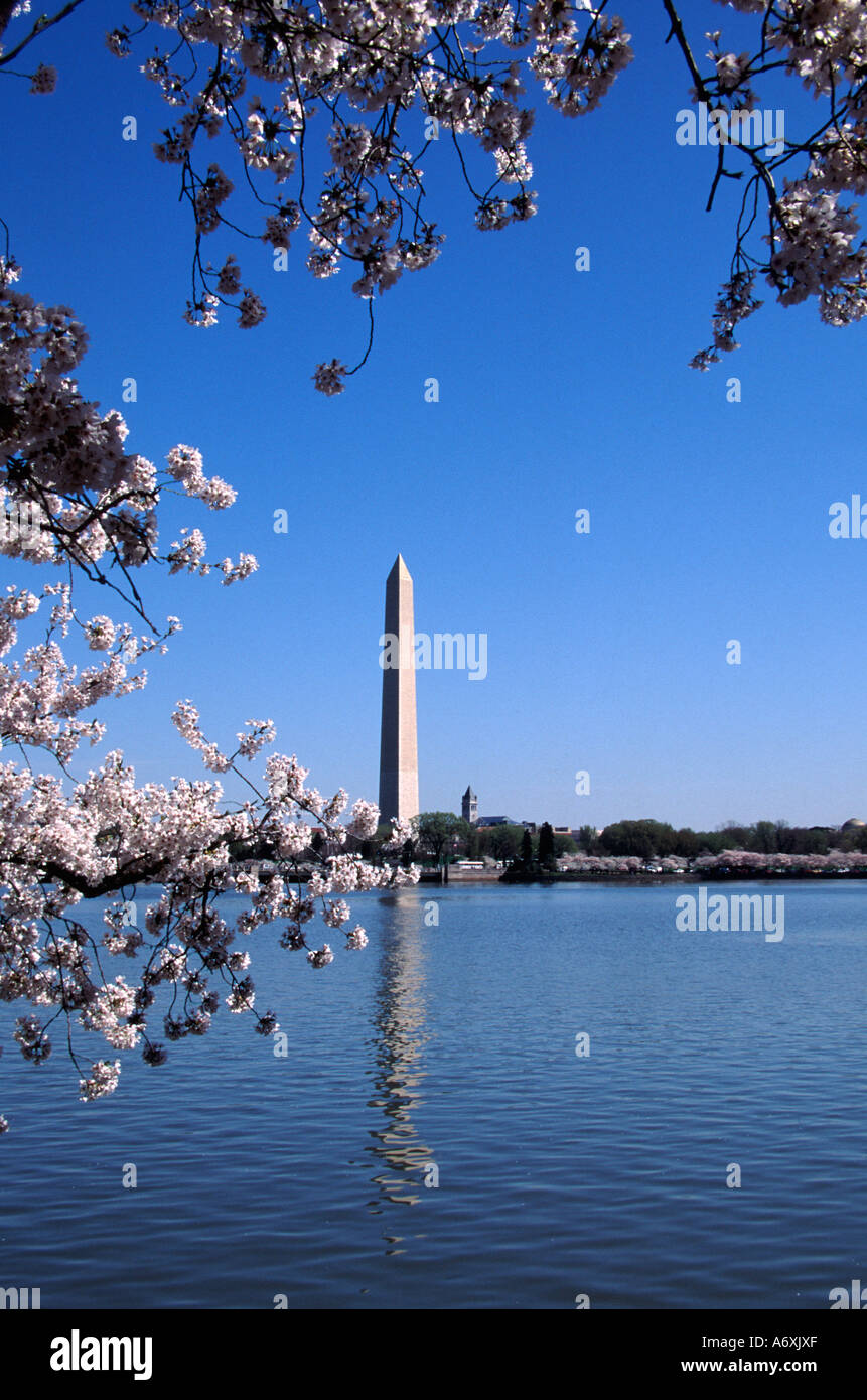 The Washington Monument, Washington DC, USA Stock Photo - Alamy