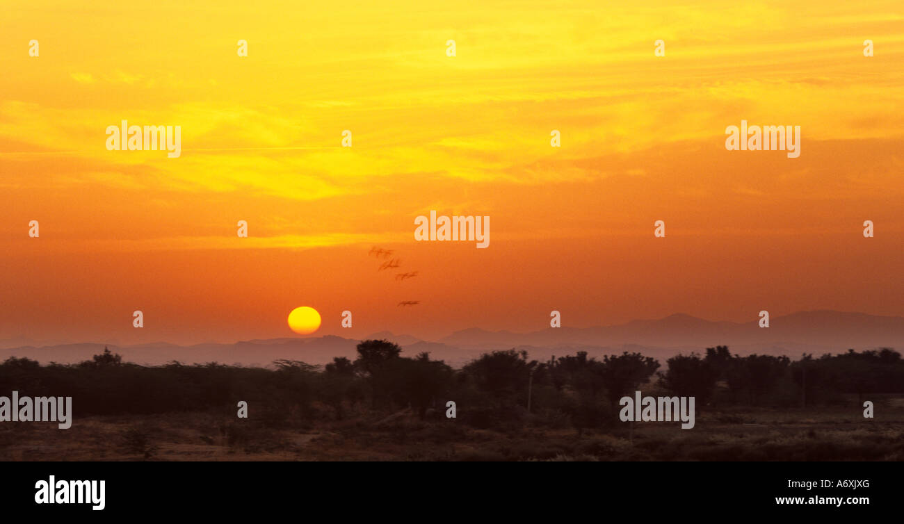 Nimaj hi-res stock photography and images - Alamy