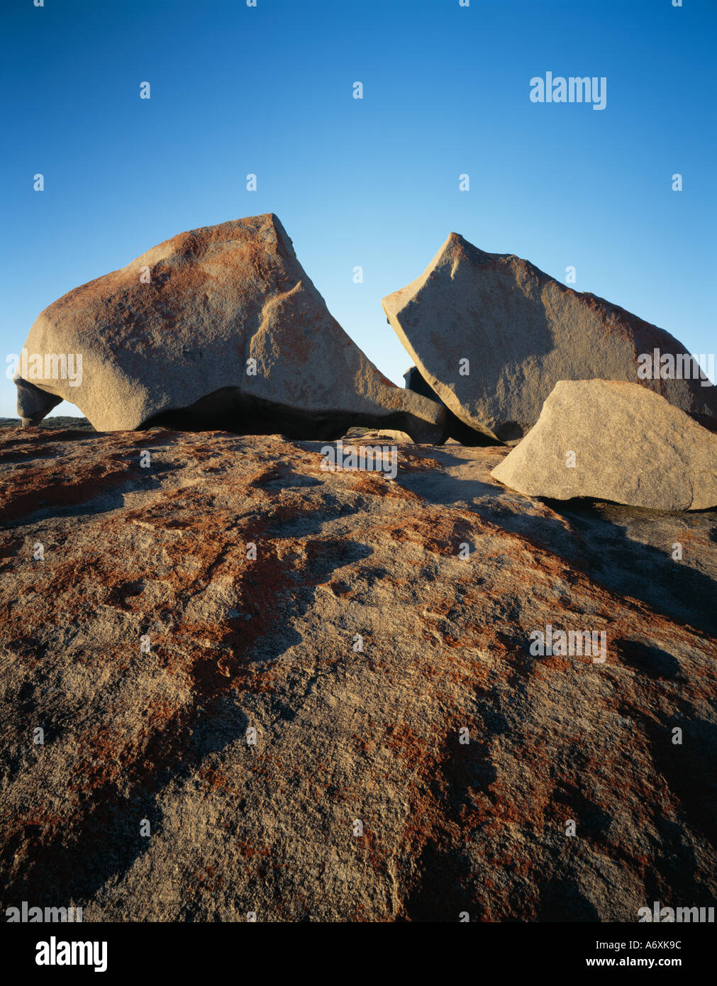 Flinders chase np hi-res stock photography and images - Alamy