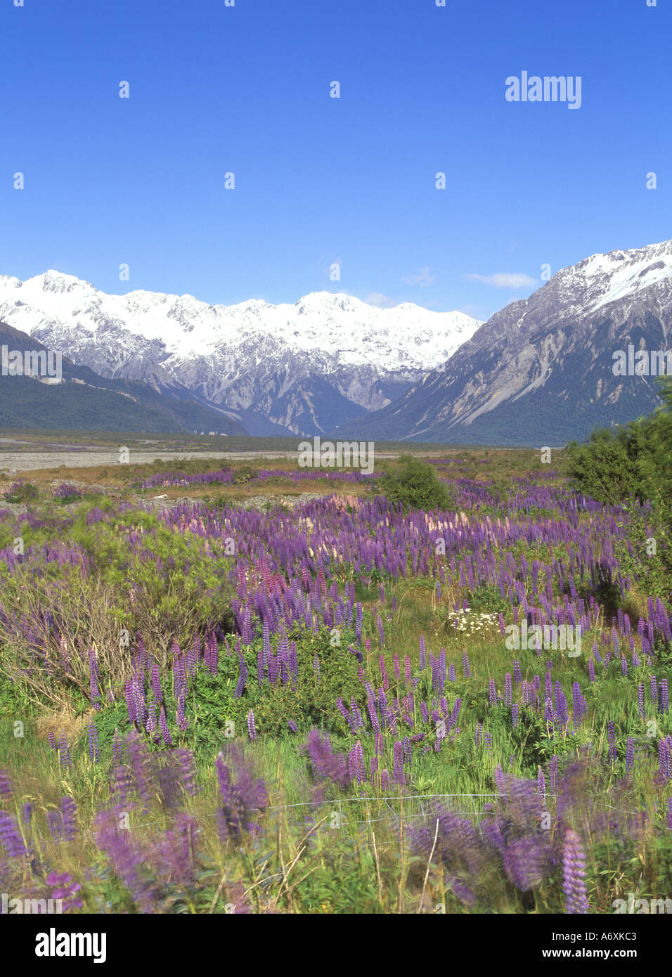 South island main divide hi-res stock photography and images - Alamy