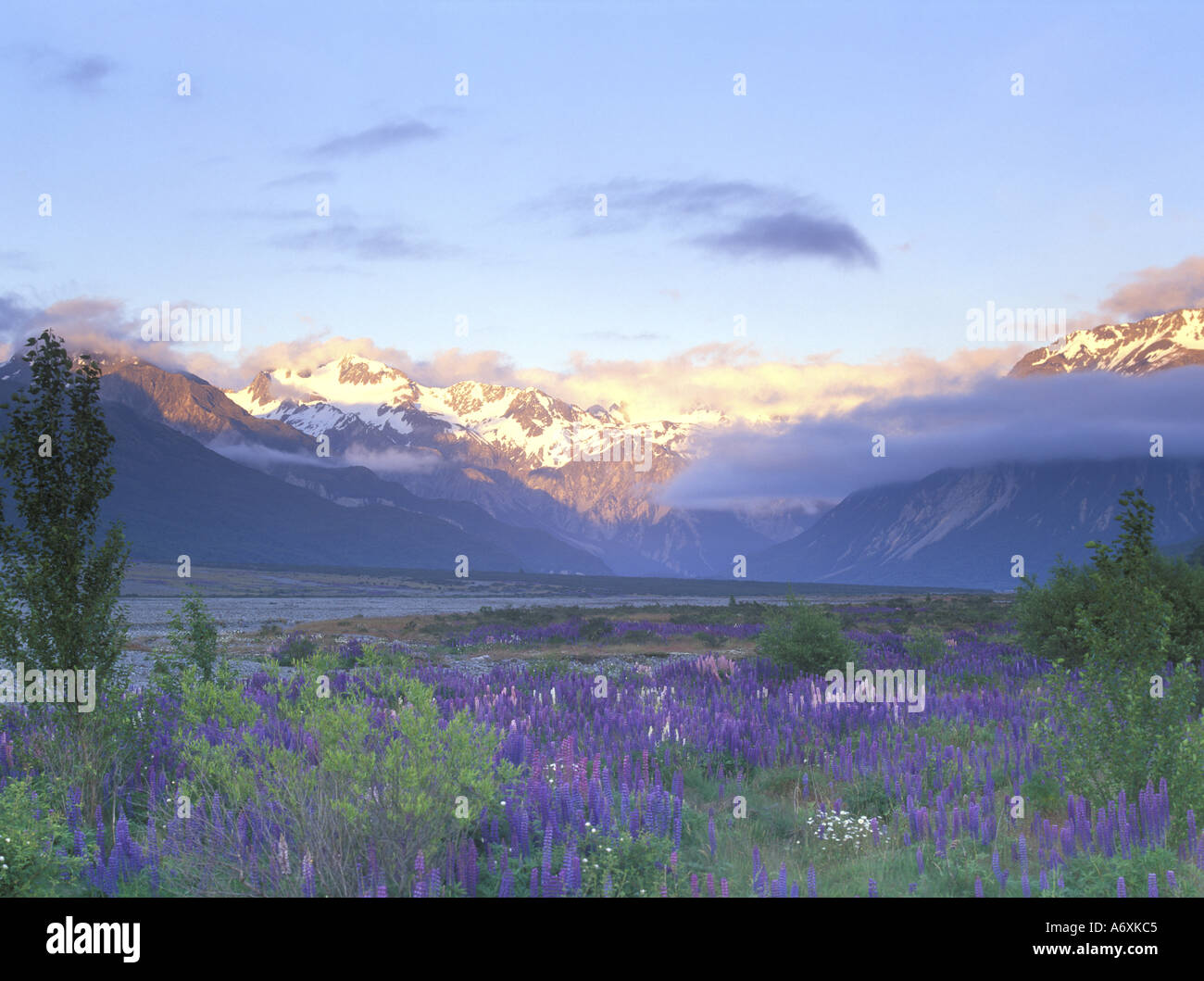 South island main divide hi-res stock photography and images - Alamy