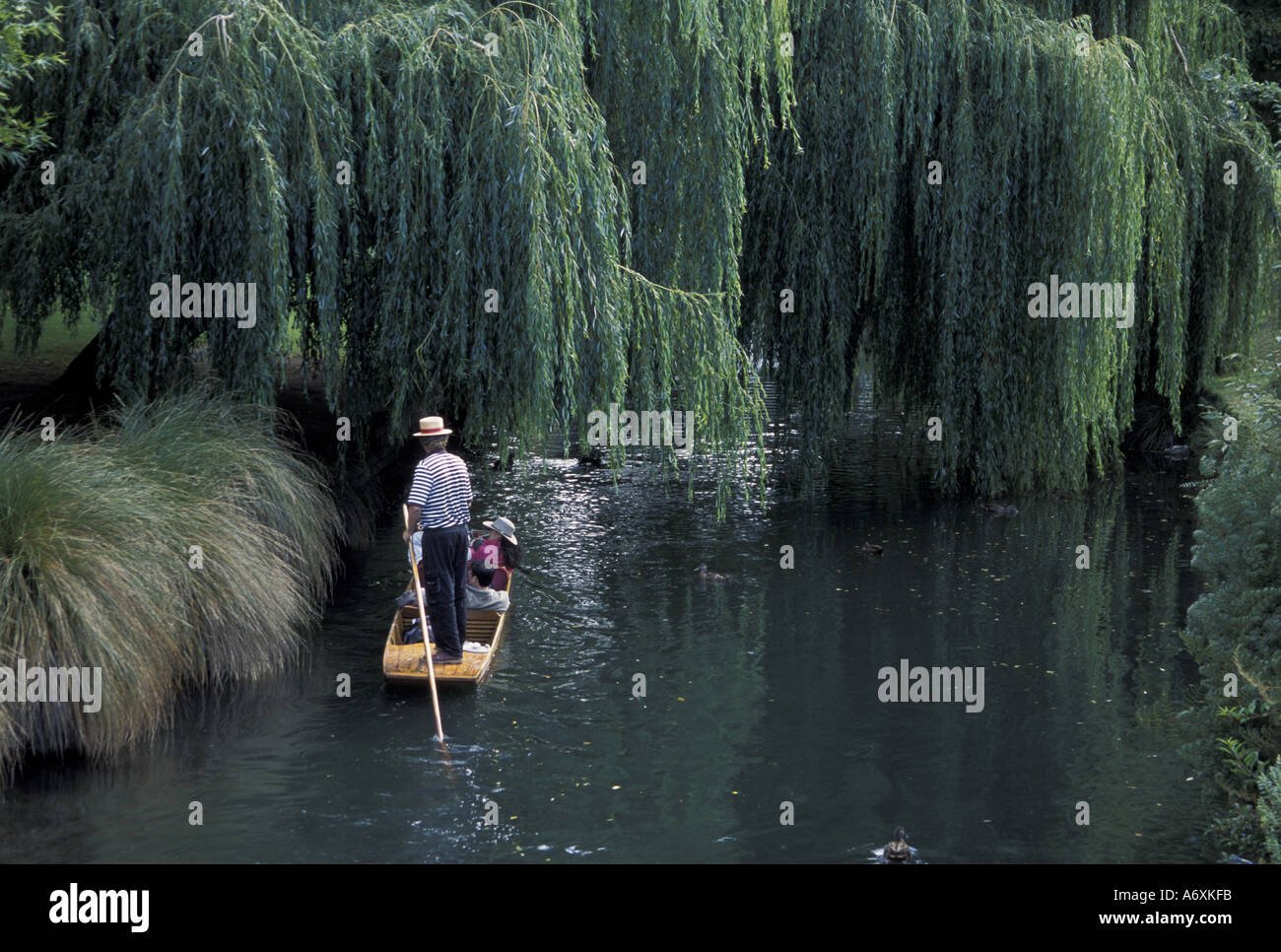 New Zealand, Christchurch. Punting along the Avon River Stock Photo - Alamy