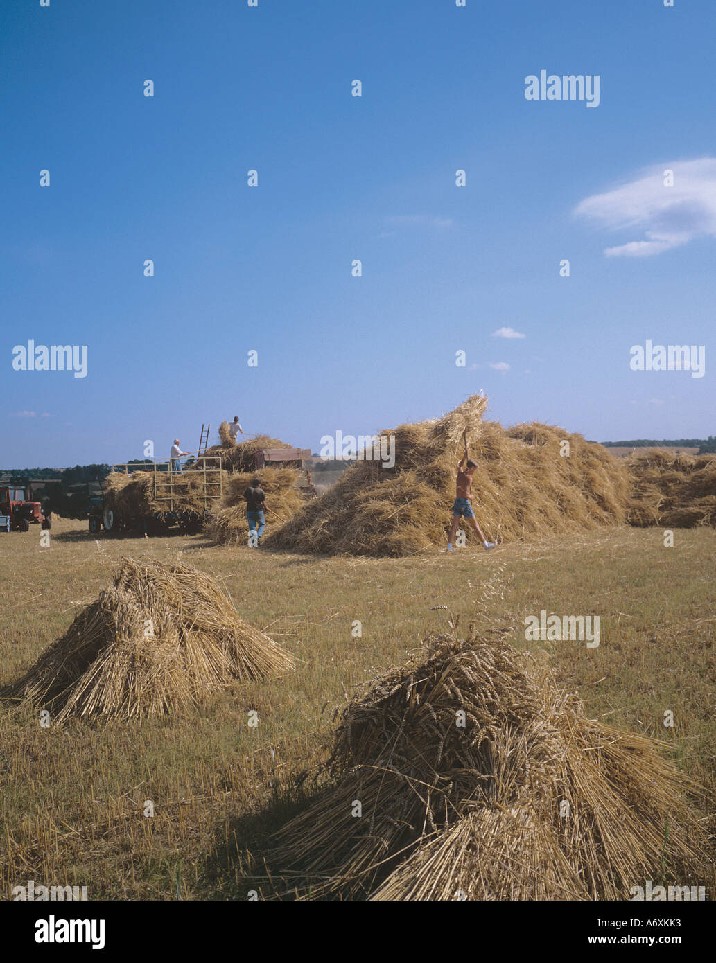 Threshing straw hi-res stock photography and images - Alamy