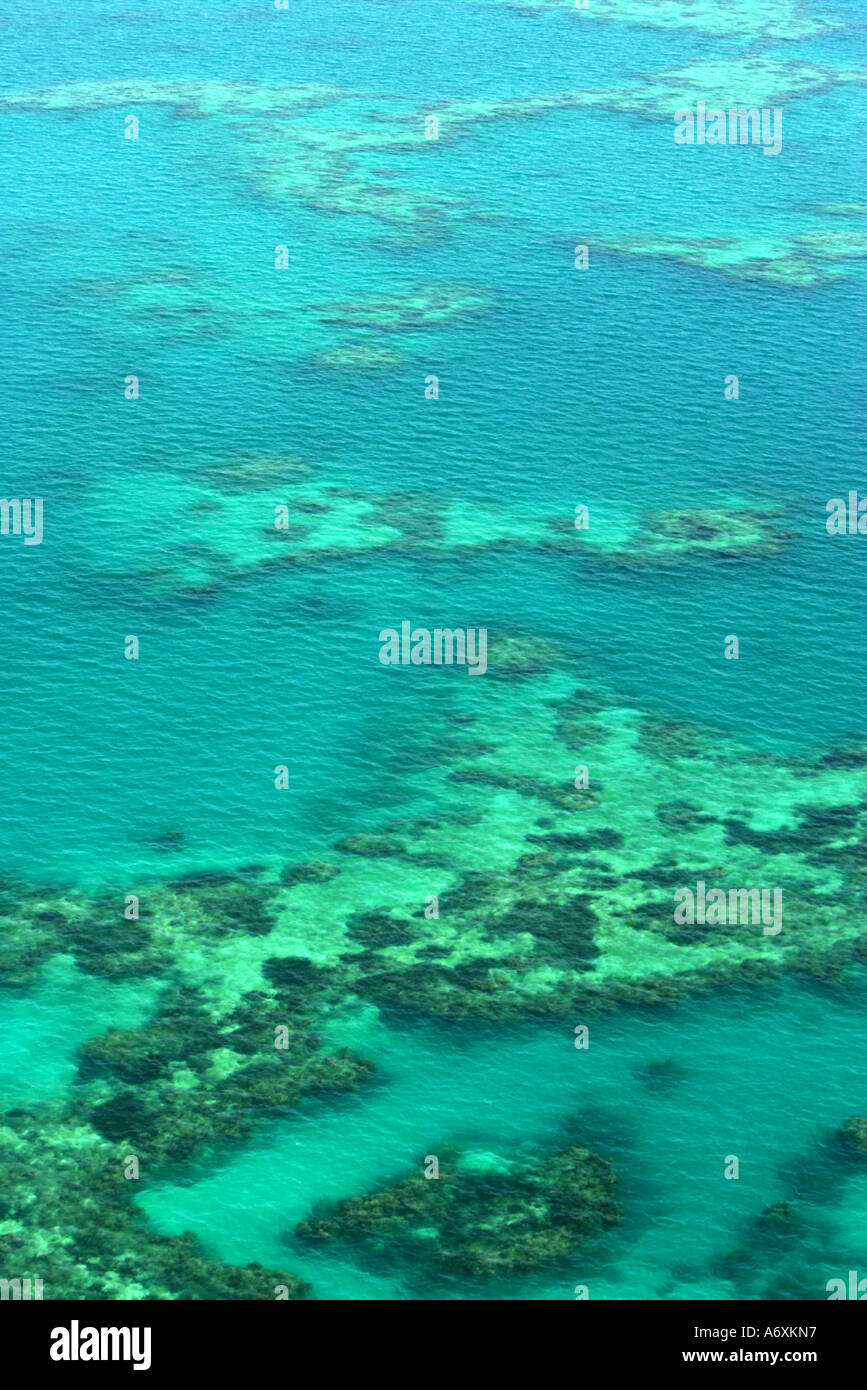 The Great Barrier Reef Stock Photo - Alamy