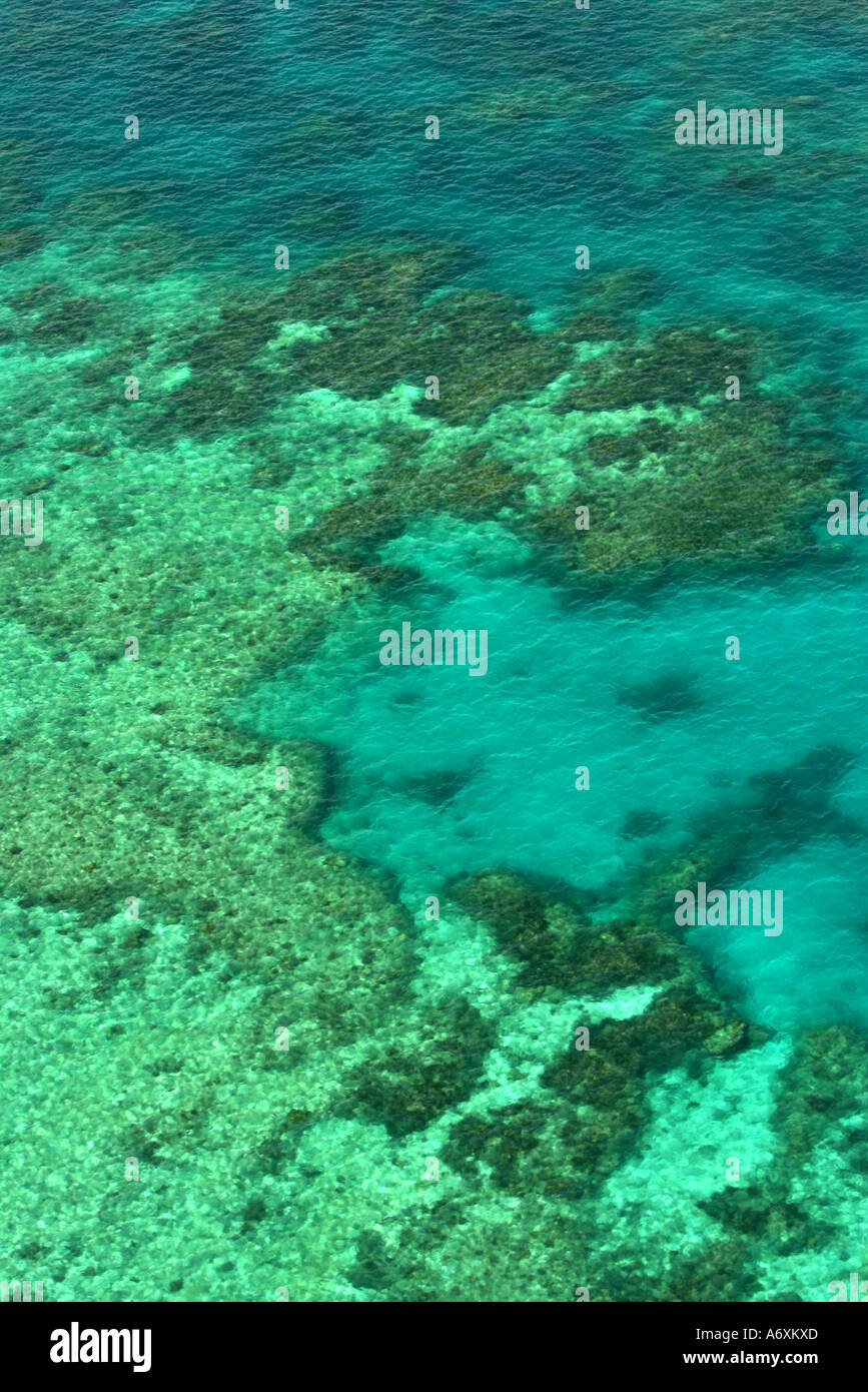 Great Barrier Reef Stock Photo - Alamy