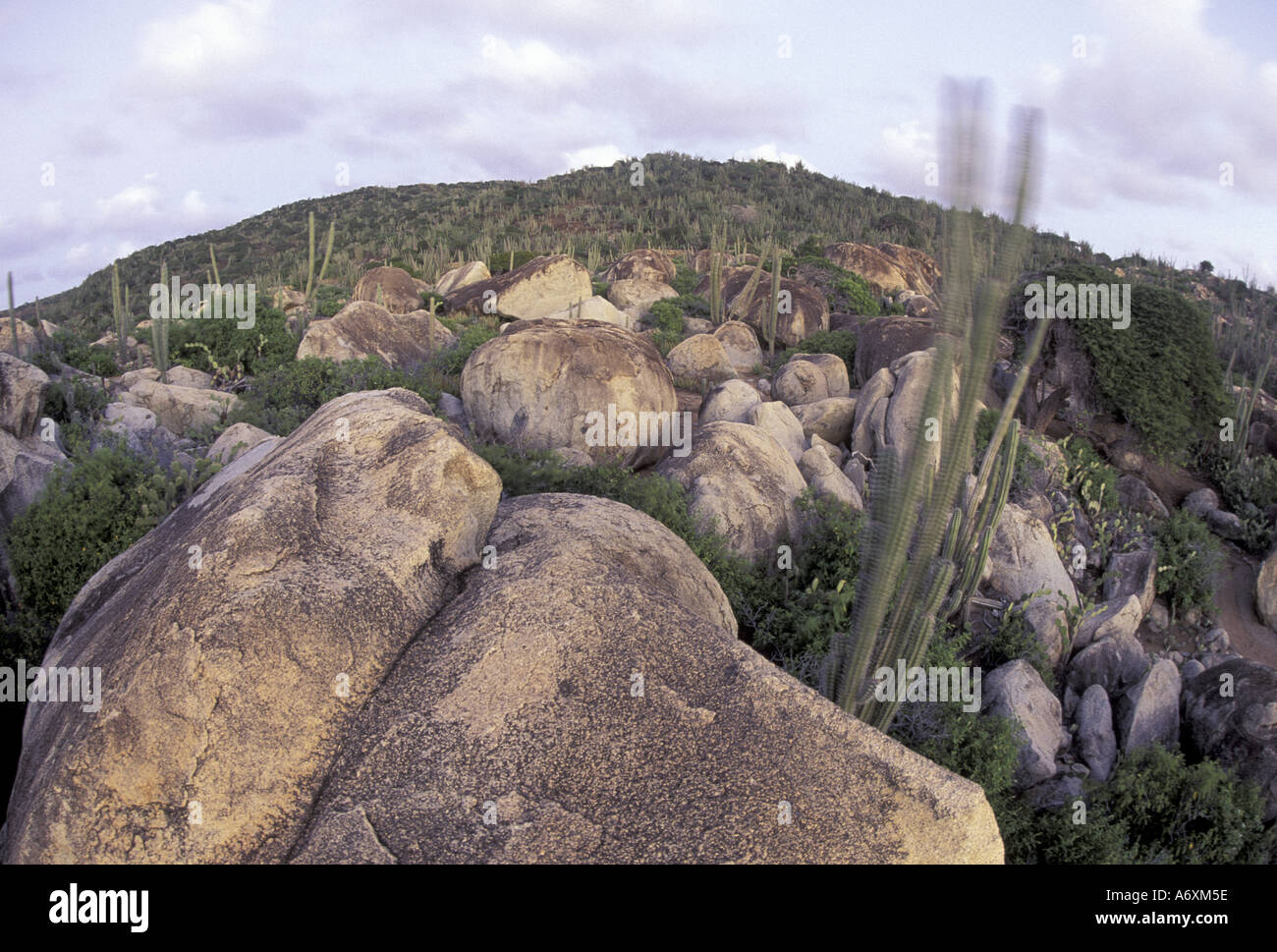Caribbean, Dutch Antilles, Aruba. View of Arikok NP Stock Photo - Alamy