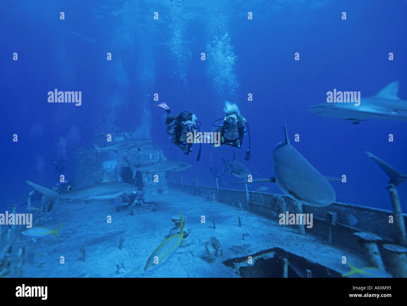 Caribbean, Bahamas, Divers explore shipwreck Stock Photo - Alamy