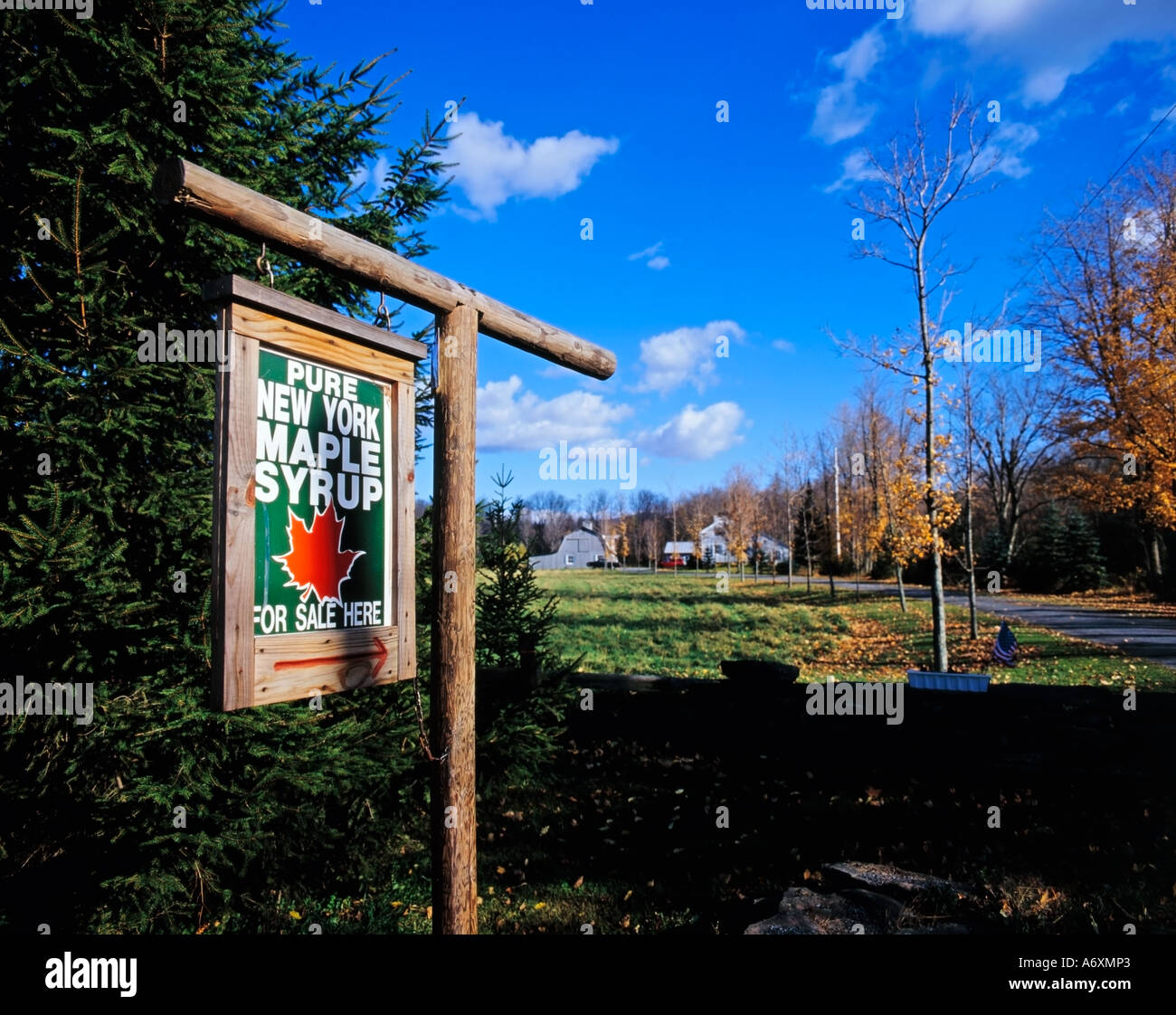 New York Maple Syrup Catskill Mountains Greene County New York State ...