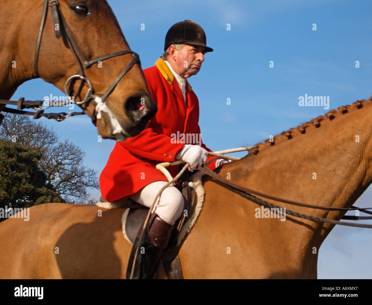 The Hunt Country Scene Suffolk England United Kingdon Stock Photo - Alamy