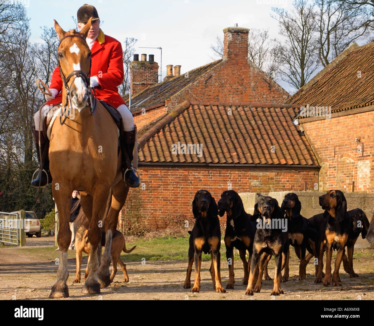 The Hunt Country Scene Suffolk England United Kingdon Stock Photo - Alamy