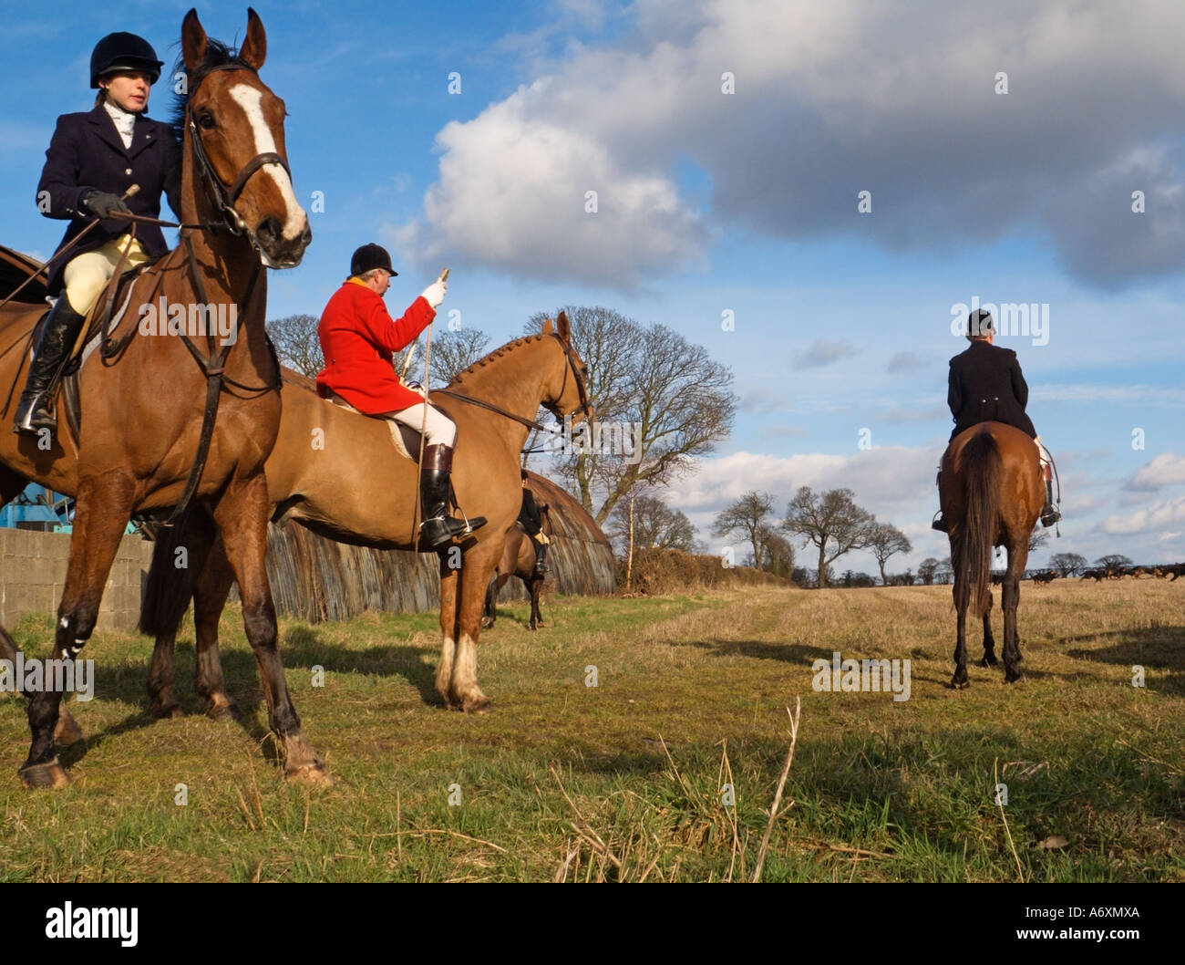 Huntsman suffolk england hi-res stock photography and images - Alamy