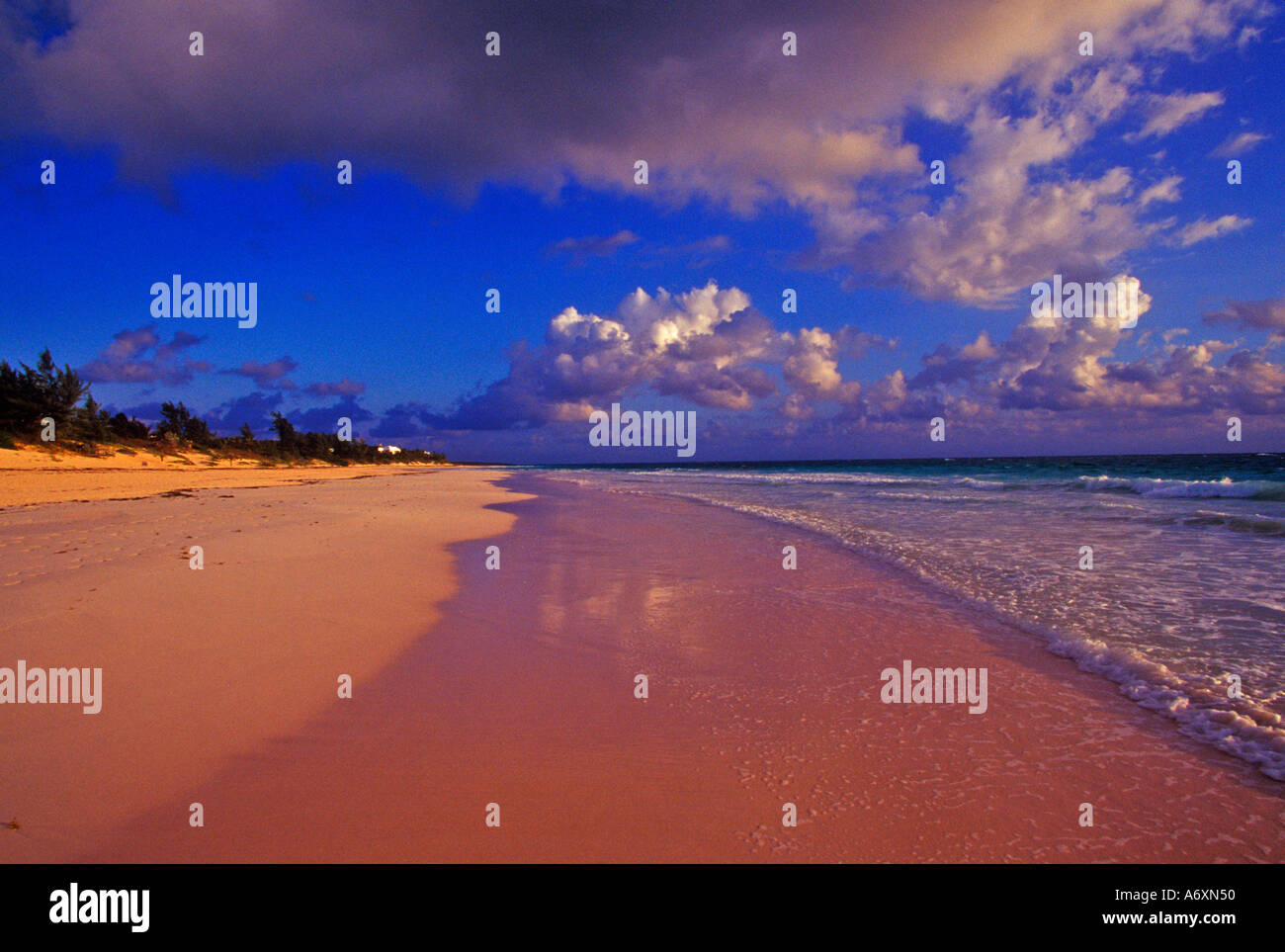 Pink Sand Beach, Harbour Island, Bahamas Stock Photo - Alamy