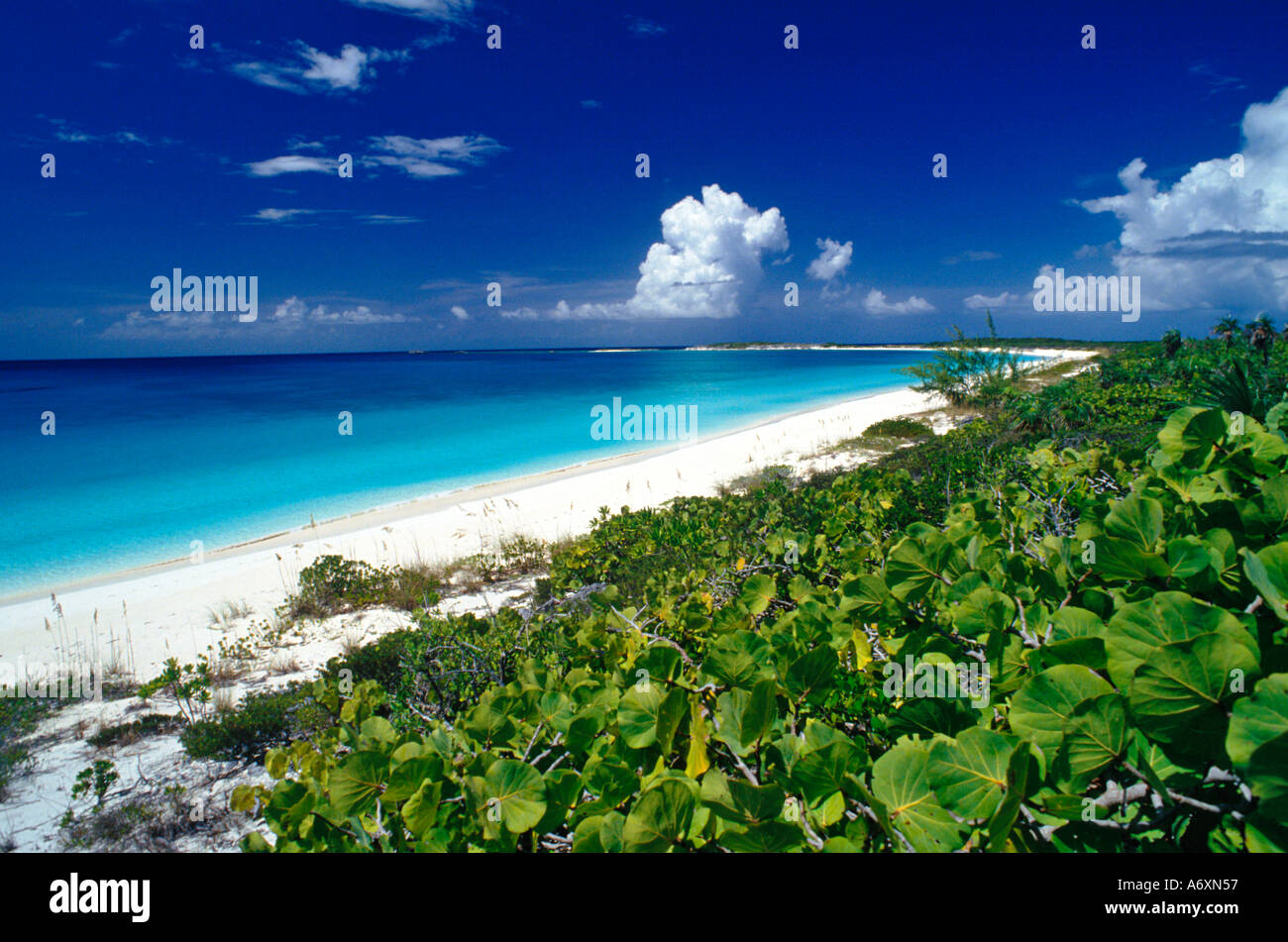 Pristine beach on Conception Island, Long Island, Bahamas Stock Photo ...