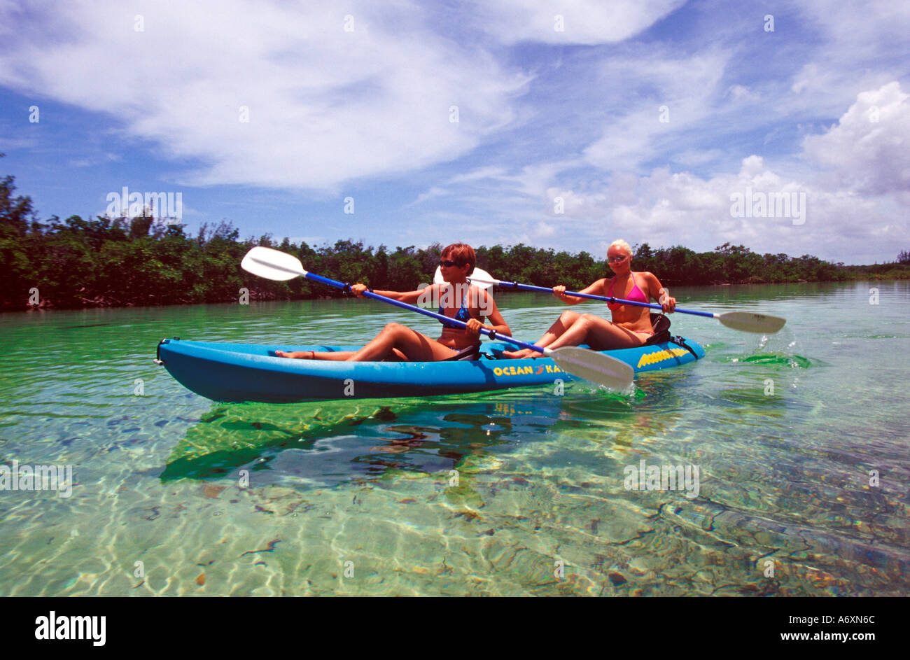 Sea kayaking through mangrove on the shallow flats of the Bahama Out ...
