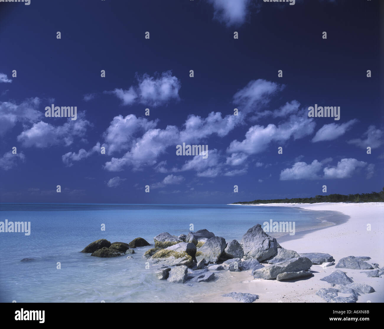 Caribbean, Bahamas Pristine beach Stock Photo - Alamy