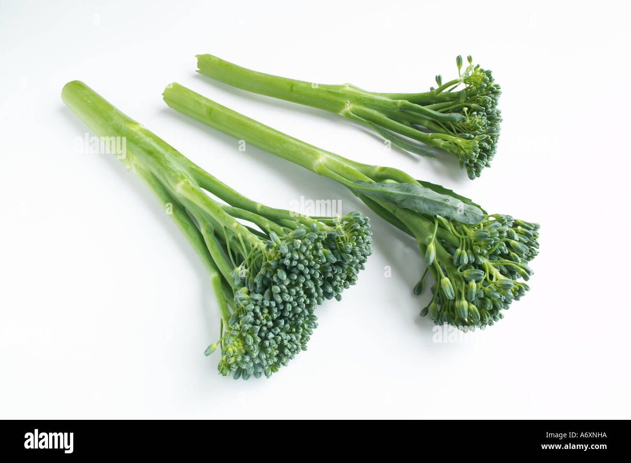 tenderstem on a white background Stock Photo - Alamy