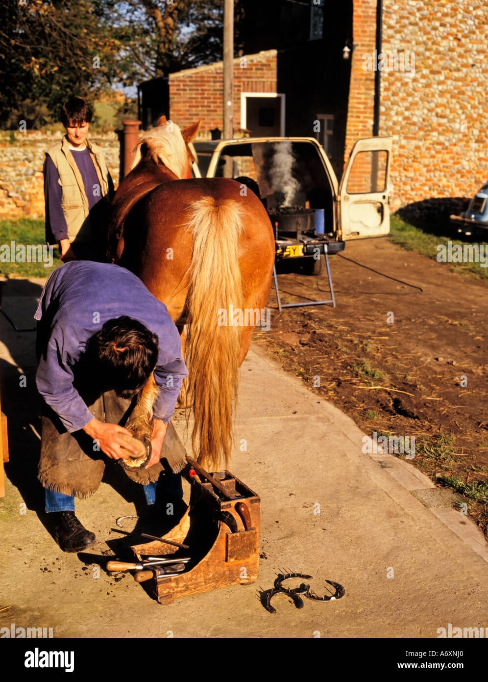 Shoeing method hi-res stock photography and images - Alamy