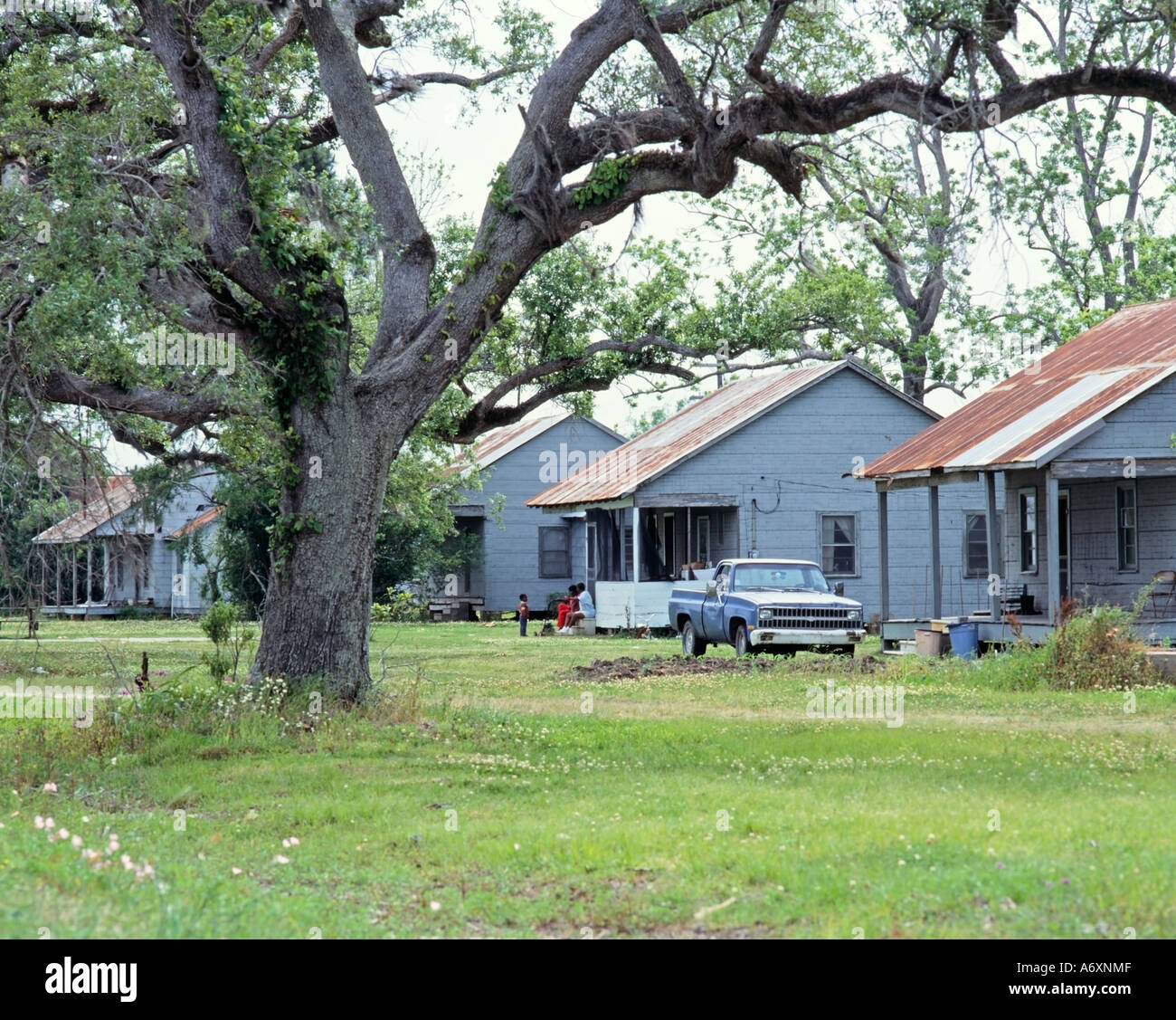 Sharecroppers Homes Louisiana USA Stock Photo - Alamy