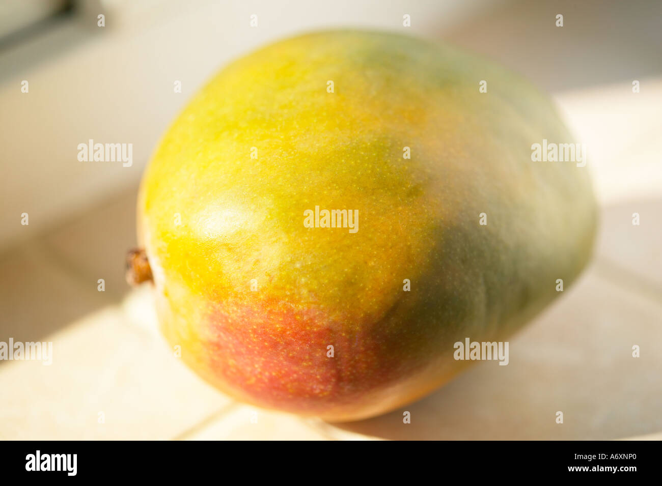 Tiled sill hi-res stock photography and images - Alamy