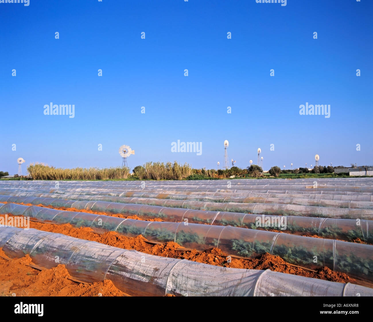 Mediterranean Farming Cyprus Greece Stock Photo - Alamy