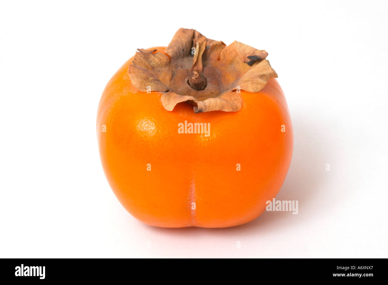 one persimmon on a white background Stock Photo - Alamy