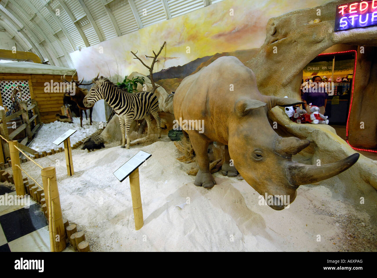 Animal display at the Worlds largest Shell Factory a popular tourist ...