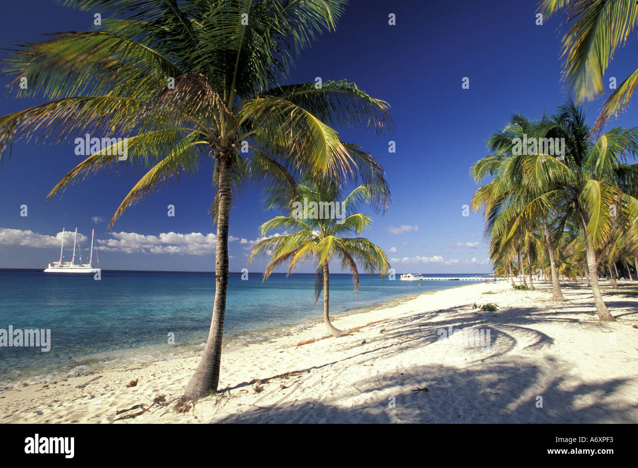 Cuba, Isla de la Juventud, Tropical beach Stock Photo - Alamy