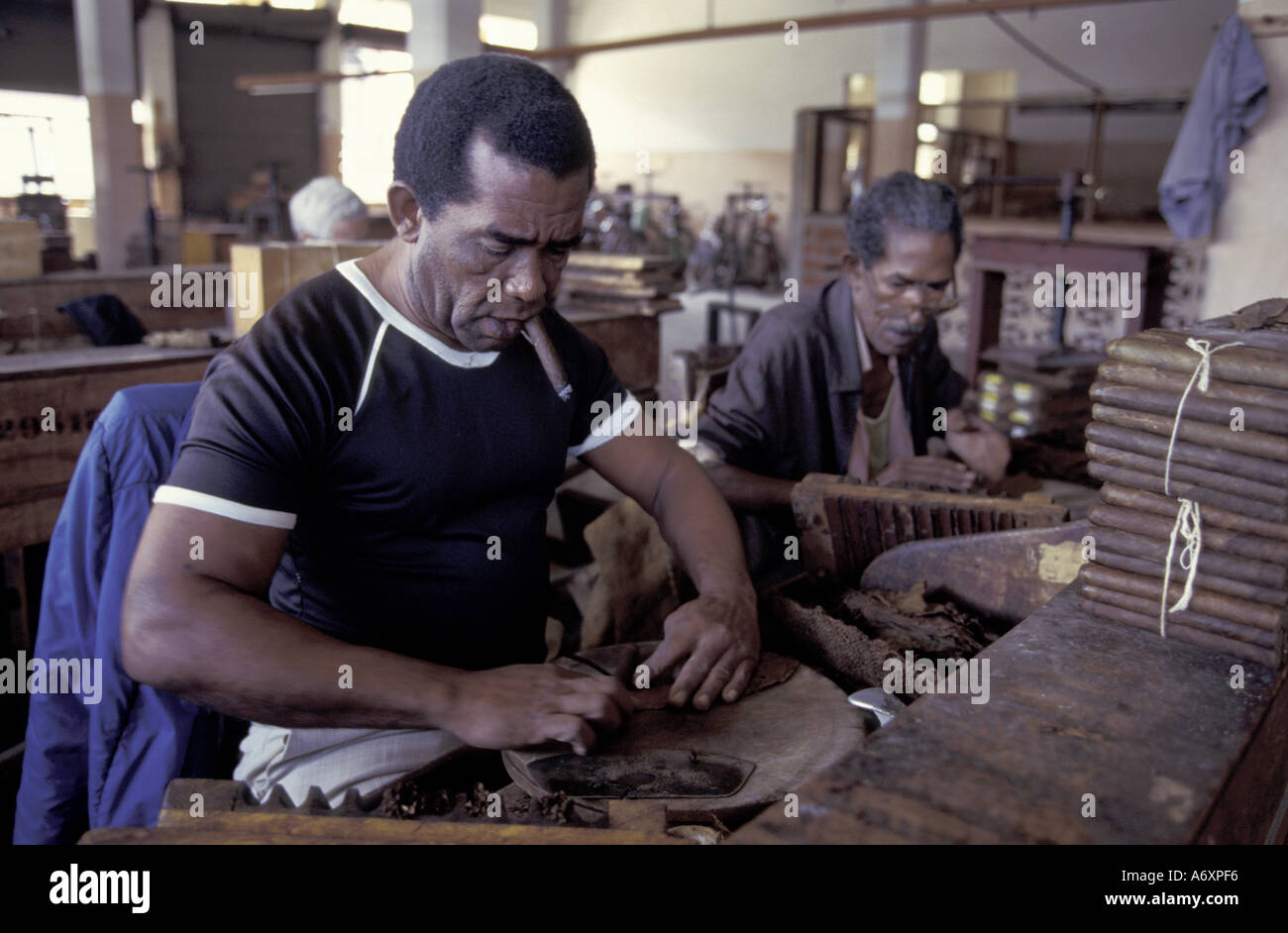 Cuba, Manicaragua. Cigar factory workers Stock Photo - Alamy