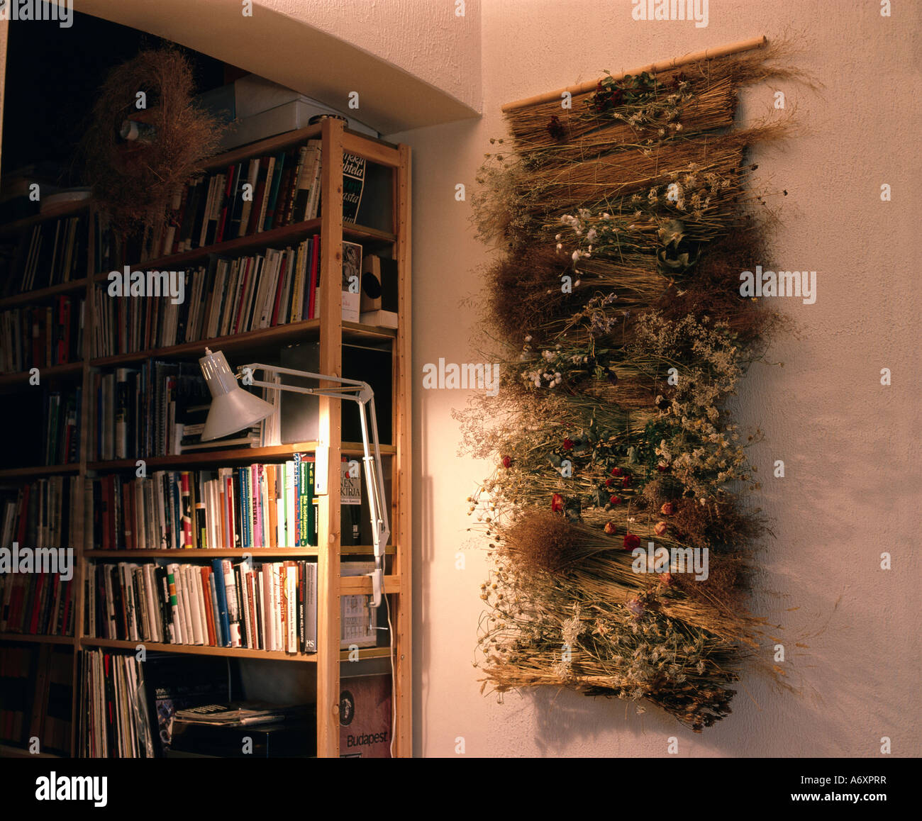 Dried flowers arranged on wall beside shelves with lighted Angle-poise ...