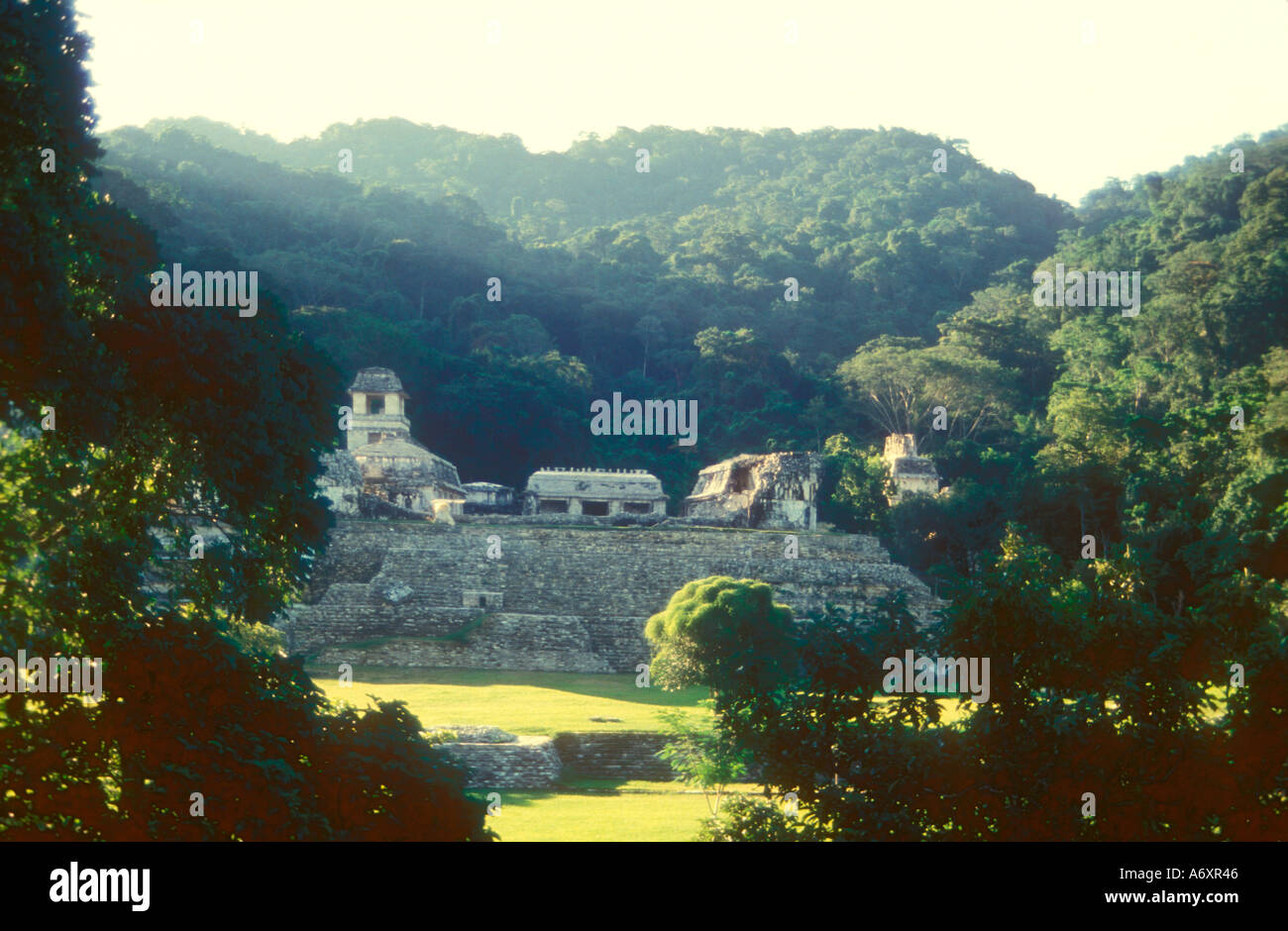 Palenque king hi-res stock photography and images - Alamy