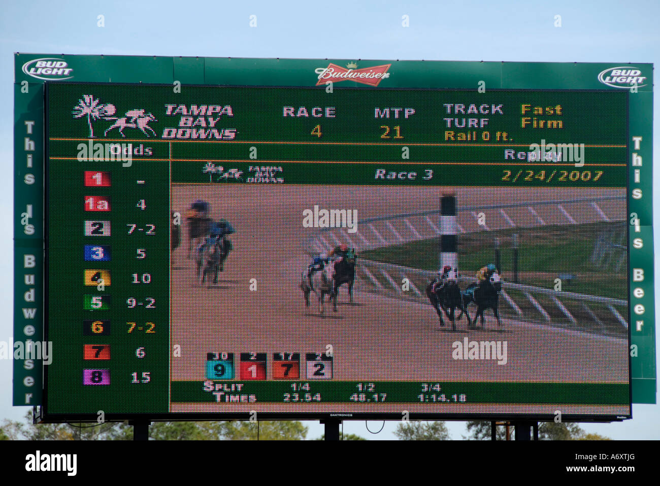 Thoroughbred horse exercise jockey hi-res stock photography and images ...