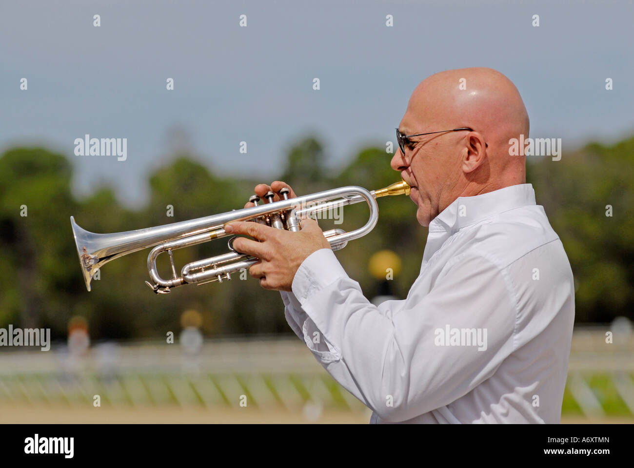 Trumpet sounds to start a horse race at Tampa Bay Downs Tampa Florida ...