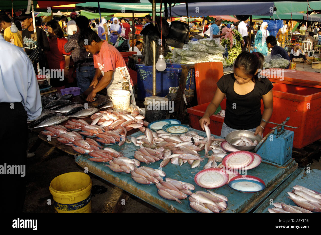 woman selling fish on market Malaysia Stock Photo - Alamy