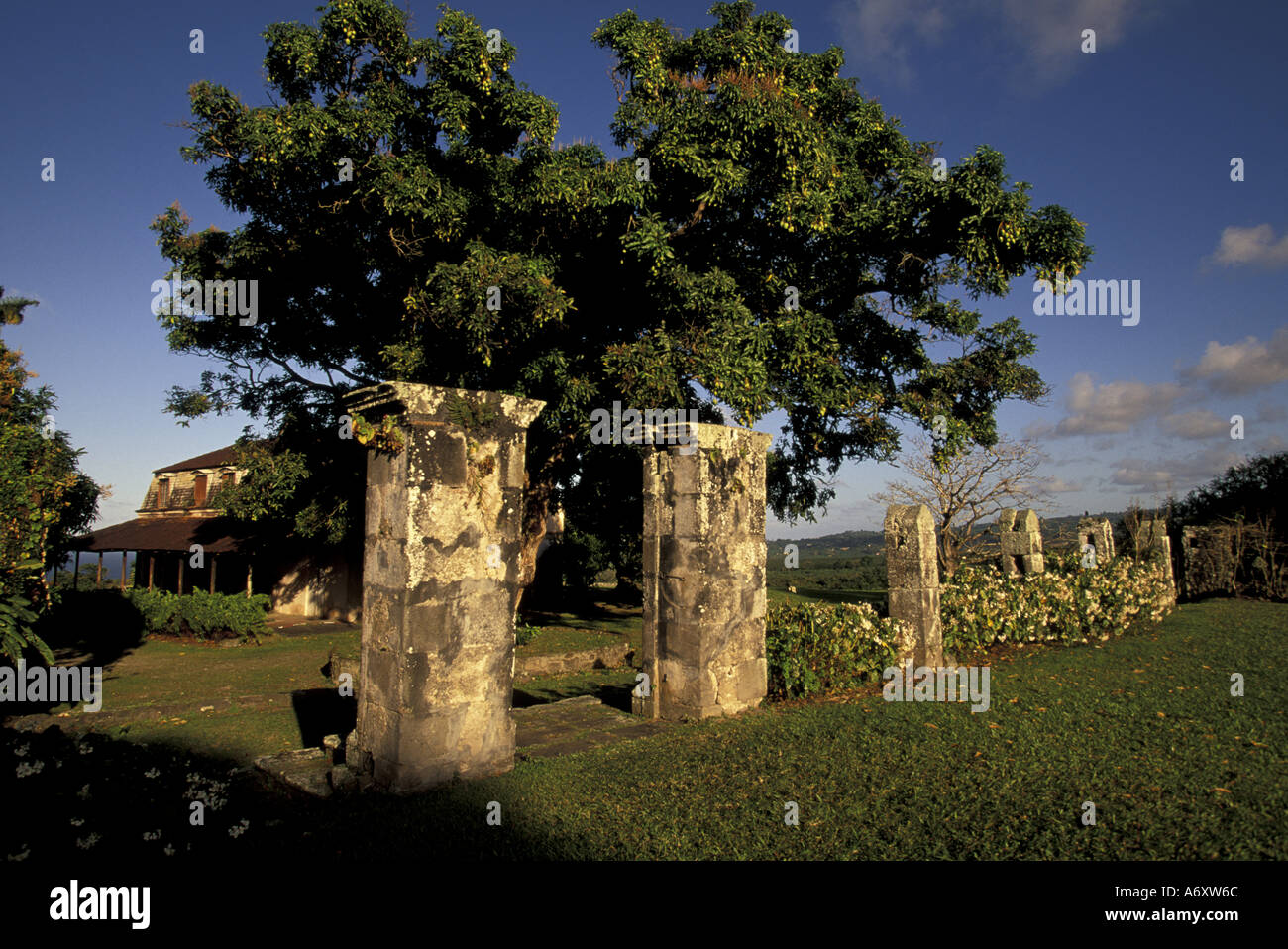Basse pointe, martinique hi-res stock photography and images - Alamy