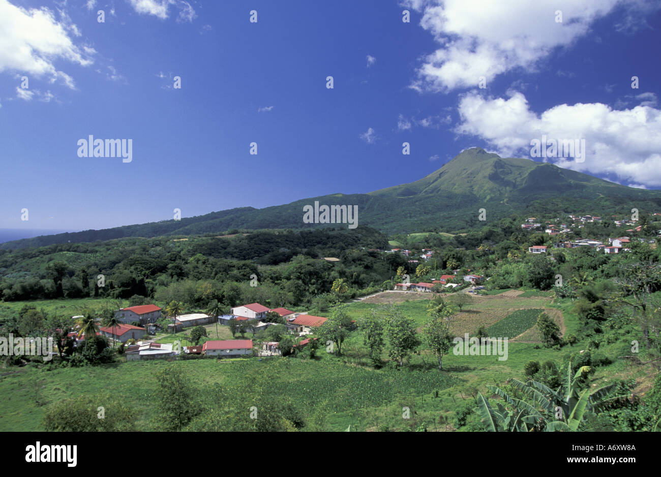 Caribbean, French West Indies, Martinique. Morne Rouge; view from the ...
