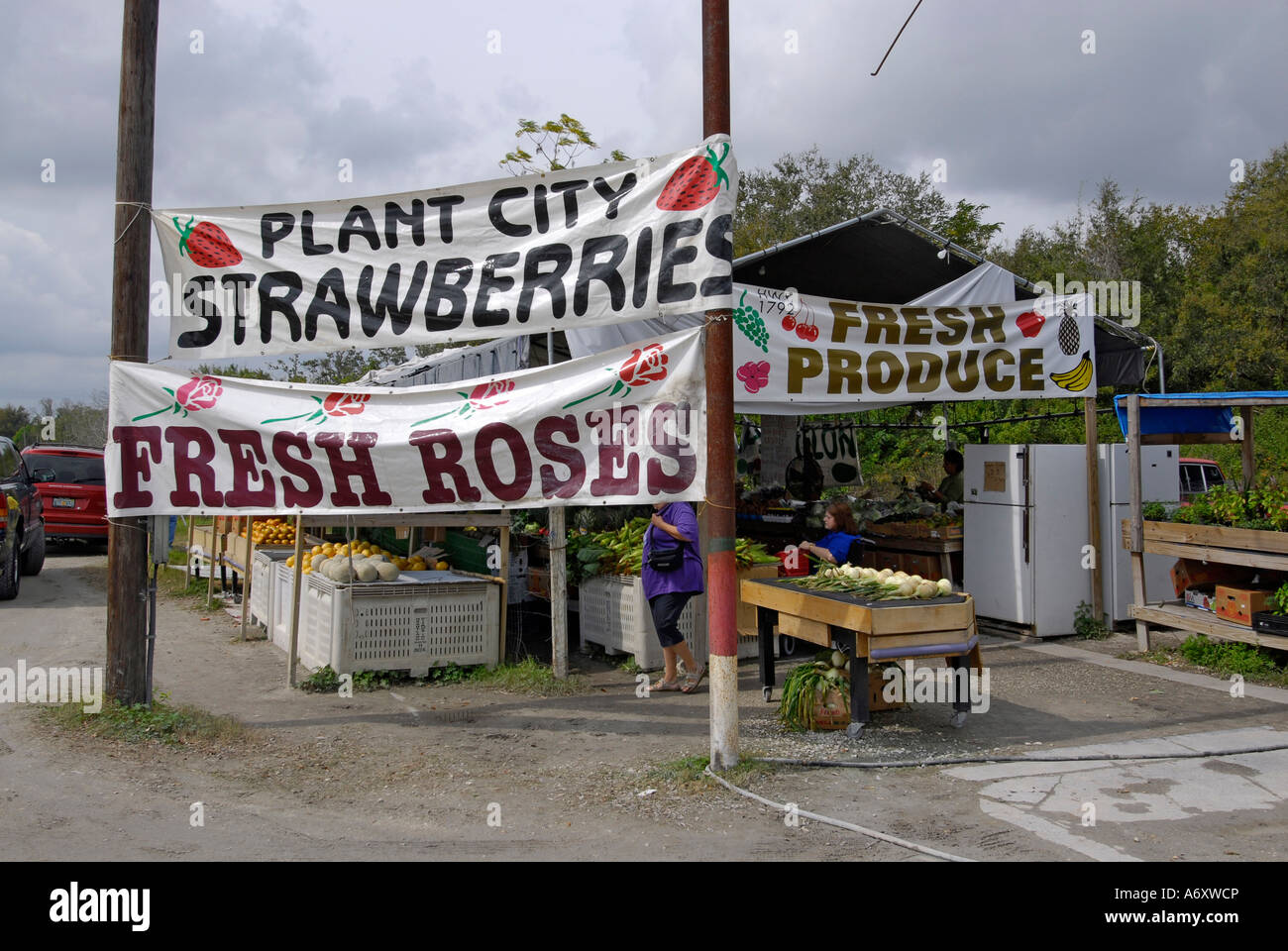 Roadside farmer market selling home grown vegetables fruit and other ...