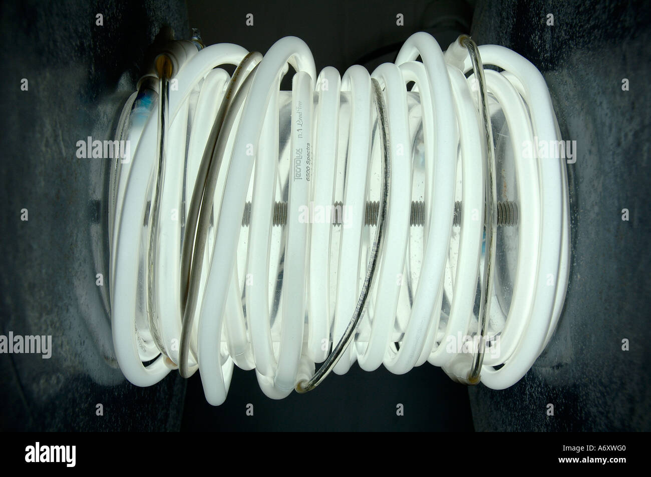 Fluorescent light bulb rolled up Stock Photo - Alamy