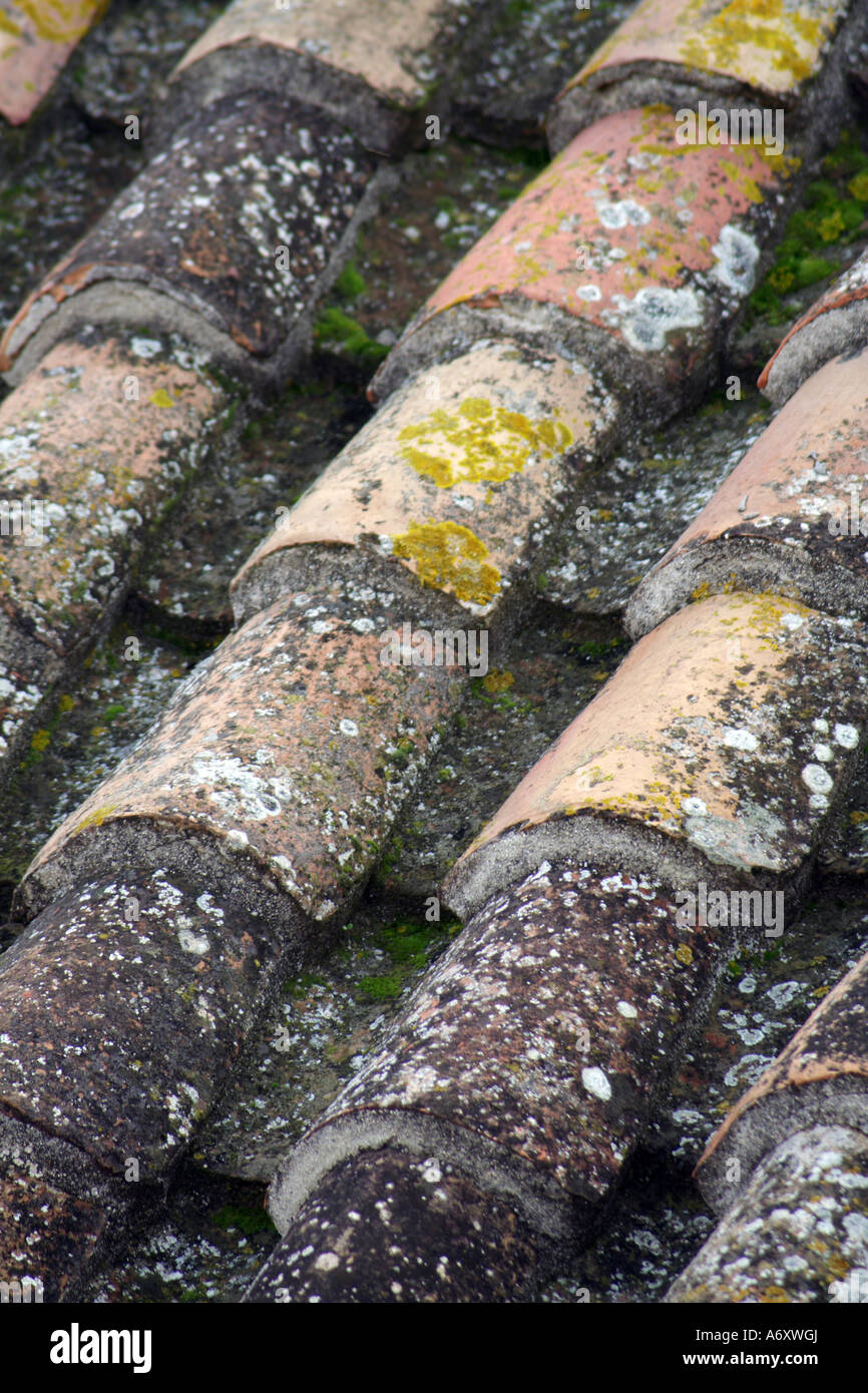 Curved clay tiles hi-res stock photography and images - Alamy