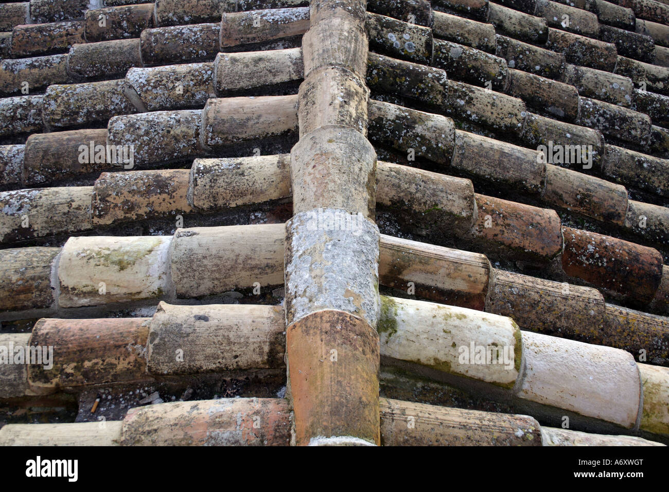 Curved clay tiles hi-res stock photography and images - Alamy