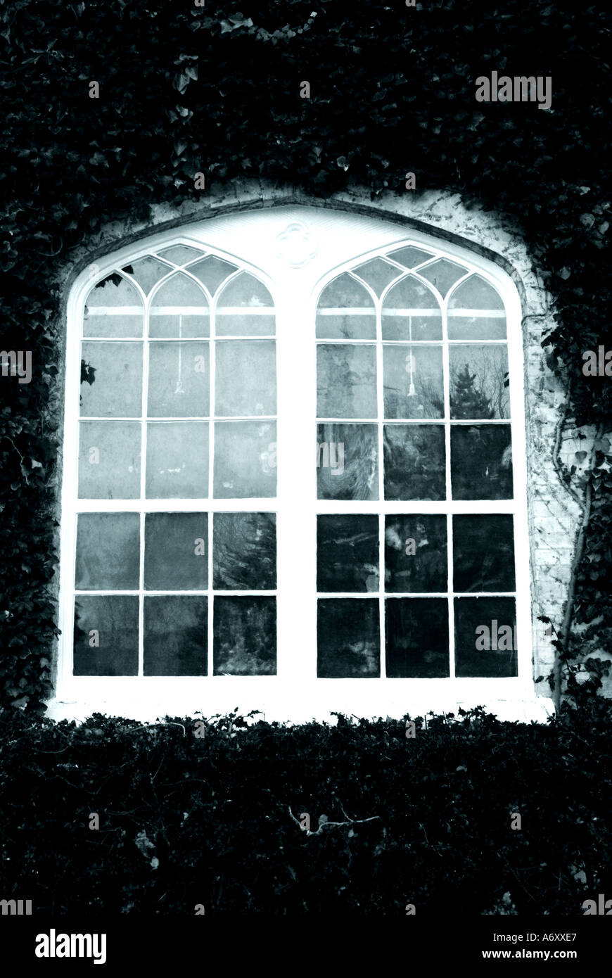 Victorian window with ivy around Stock Photo - Alamy