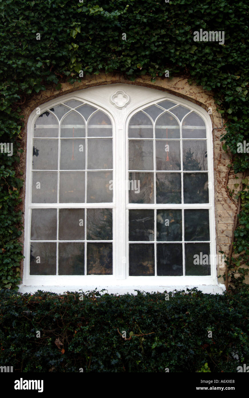 Victorian window with ivy around Stock Photo - Alamy