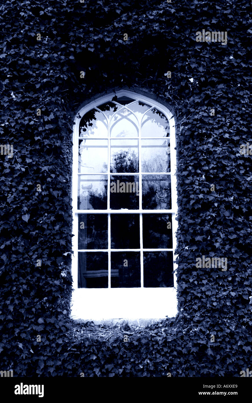 Victorian window hi-res stock photography and images - Alamy