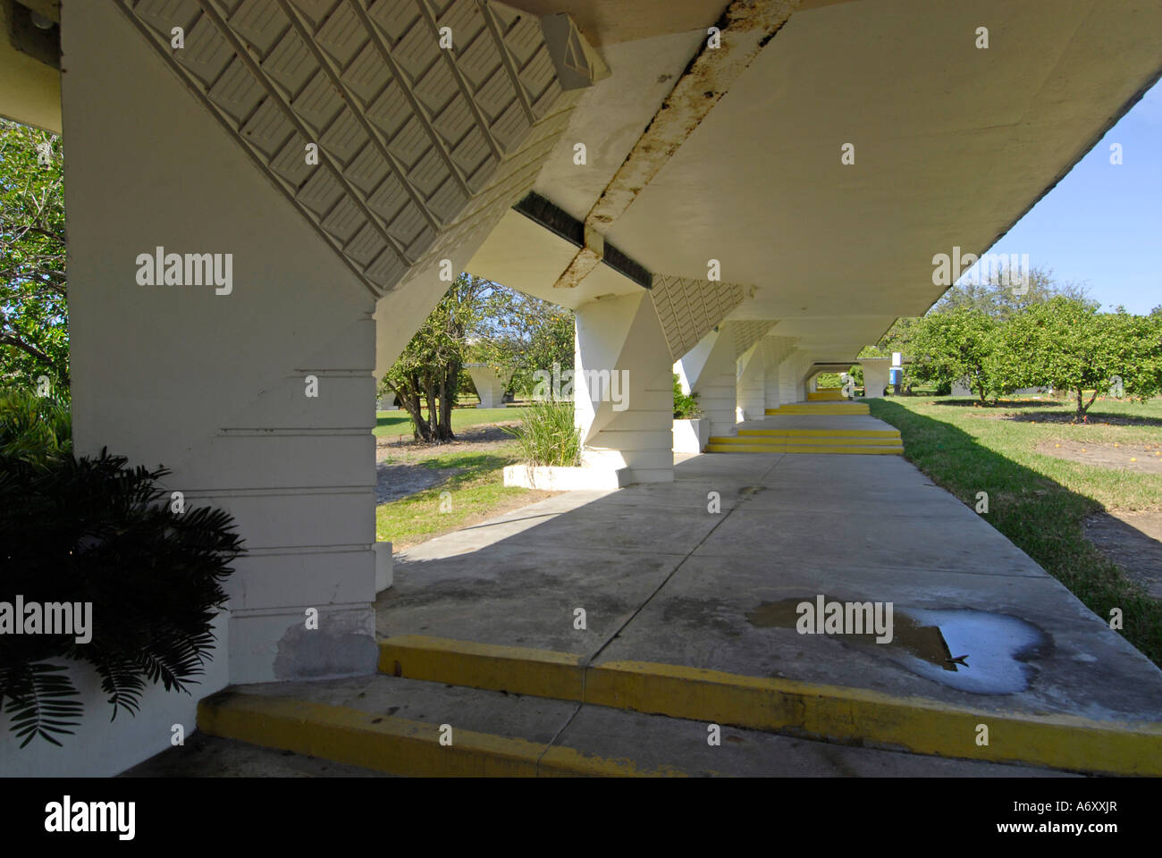 Campus at Florida Southern College FSC Frank Lloyd Wright Architecture ...