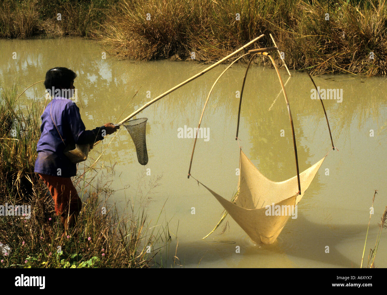 angler fisherman boy thailand thai fish net man Stock Photo - Alamy