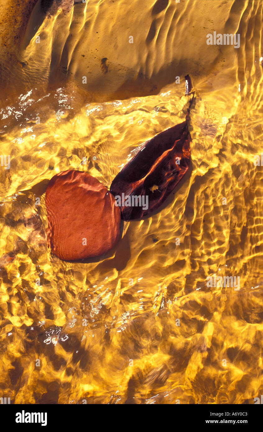 Rock pool with reflecting sunlit water sea sand and stone shapes make ...