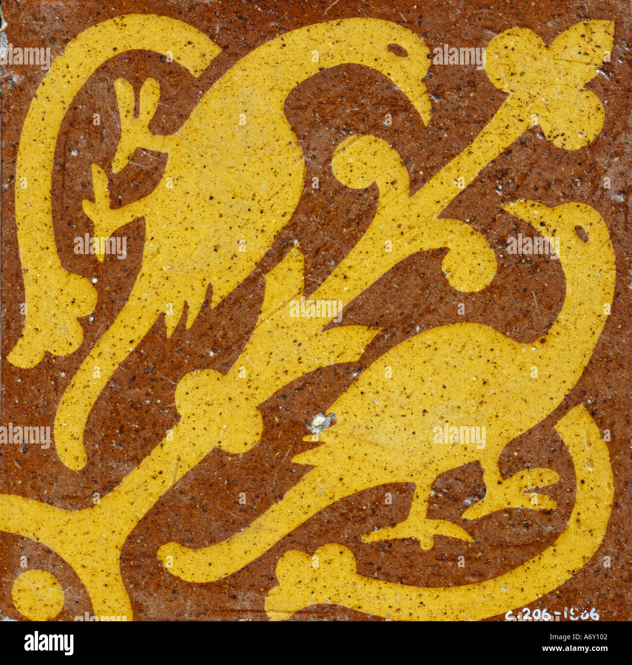 Godwin bird hi-res stock photography and images - Alamy