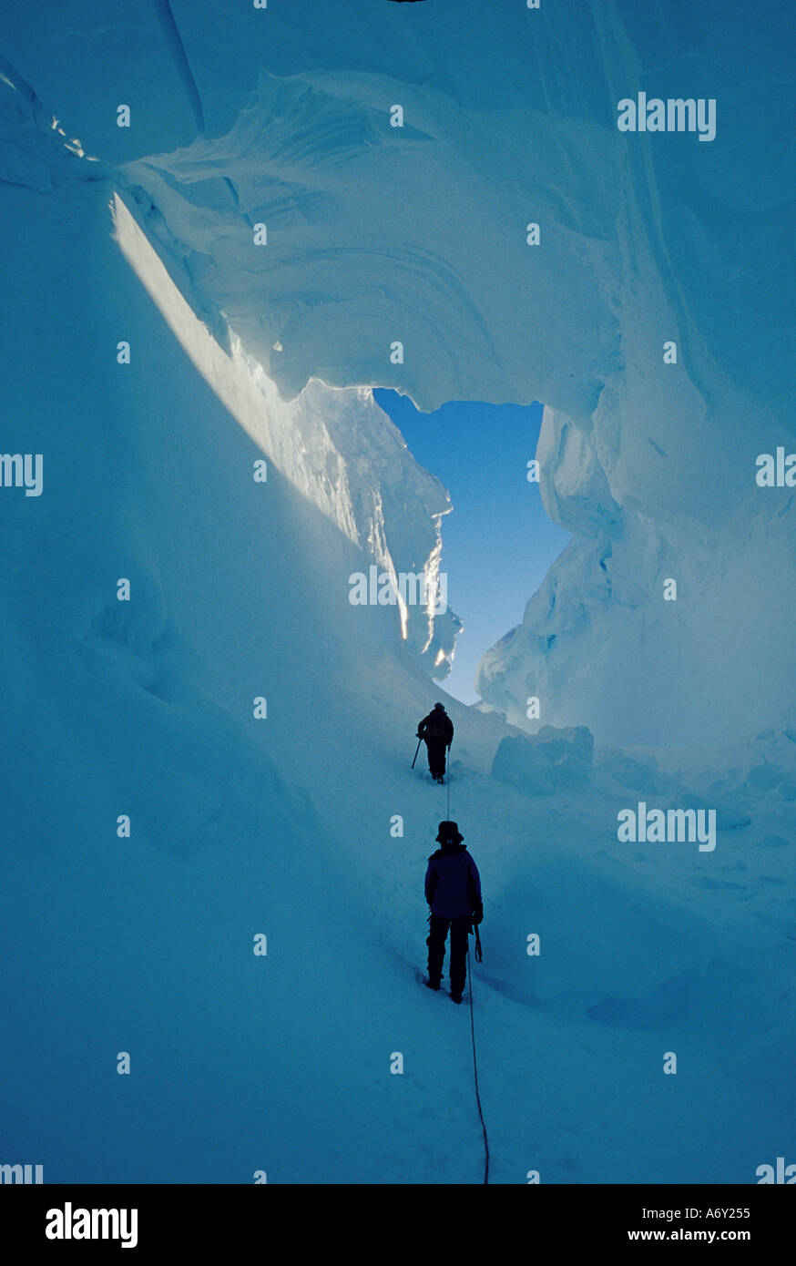 Ice Climbers in Crevasse Antarctica Stock Photo - Alamy