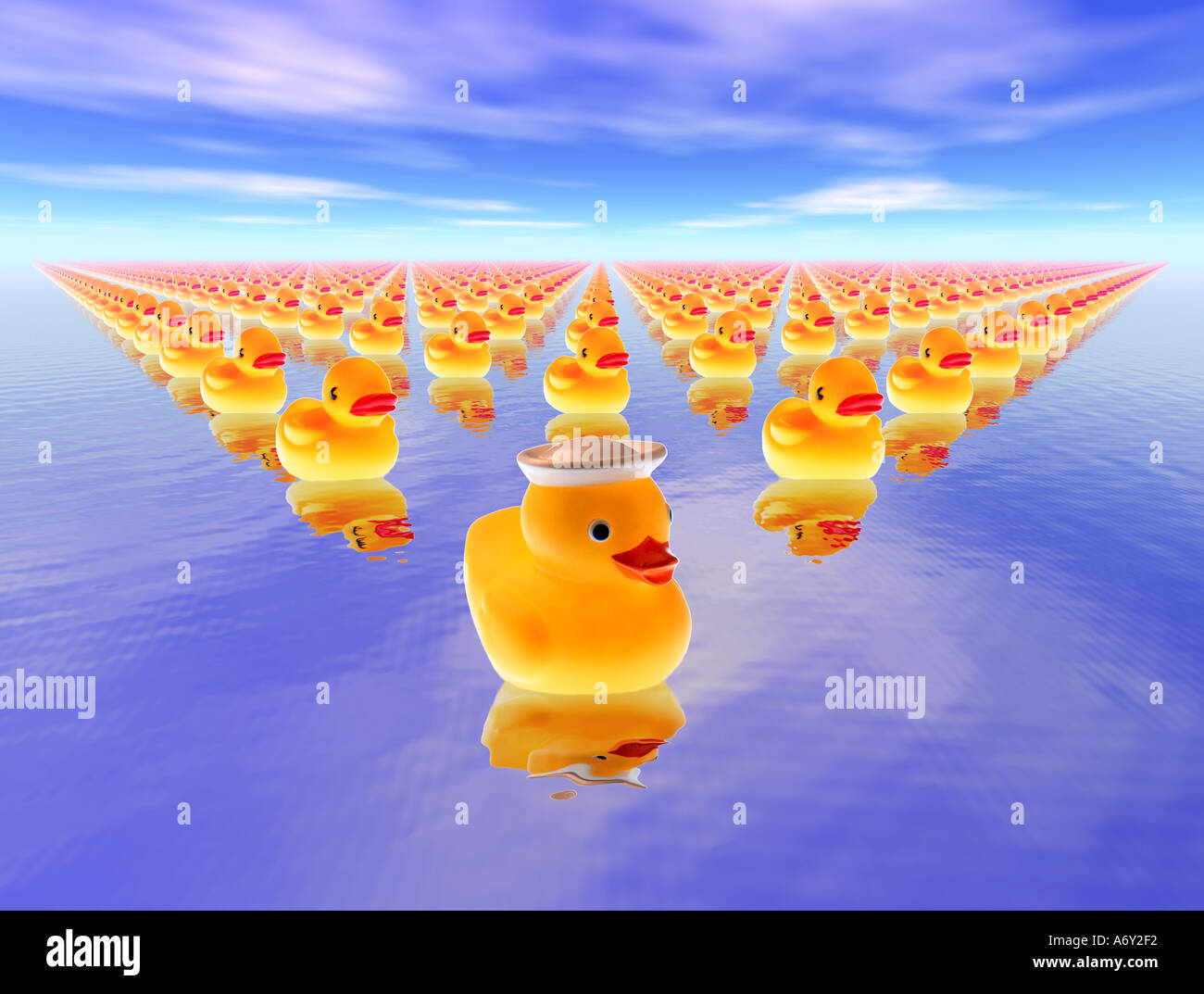 Rubber Ducks on Water Studio Digital Image Stock Photo - Alamy