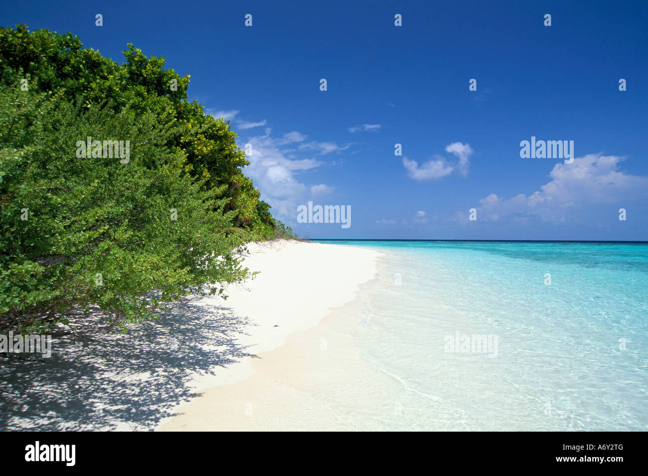 Mendu Island Baa Atoll Maldives Indian Ocean Asia Stock Photo - Alamy